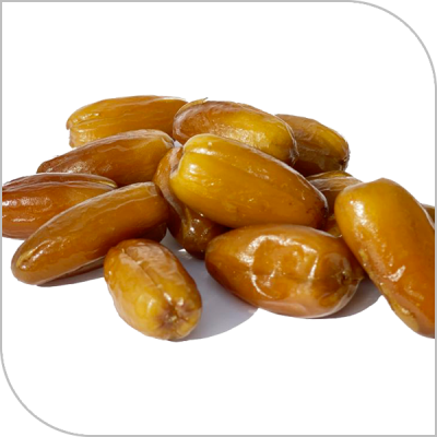 SED OASIS : producteur de dattes Deglet Nour Algérie